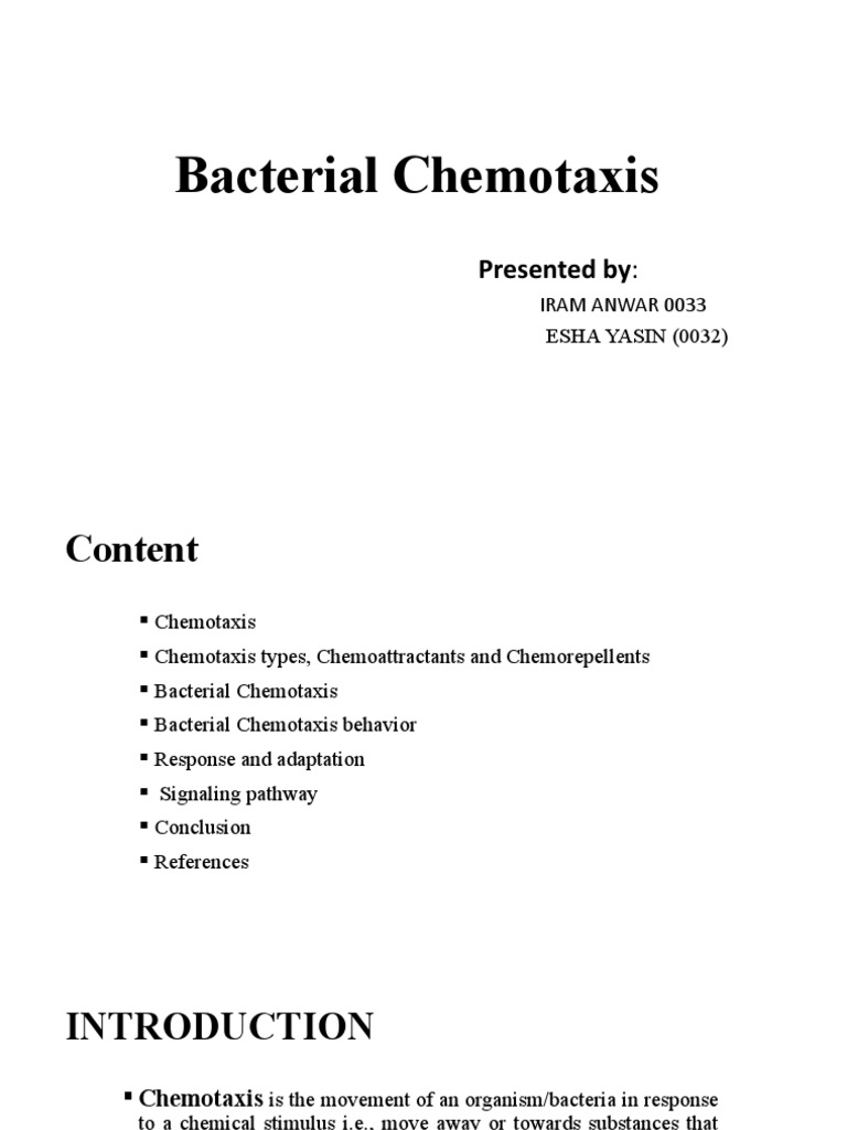 Bacterial Chemotaxis | PDF | Chemotaxis | Chemistry