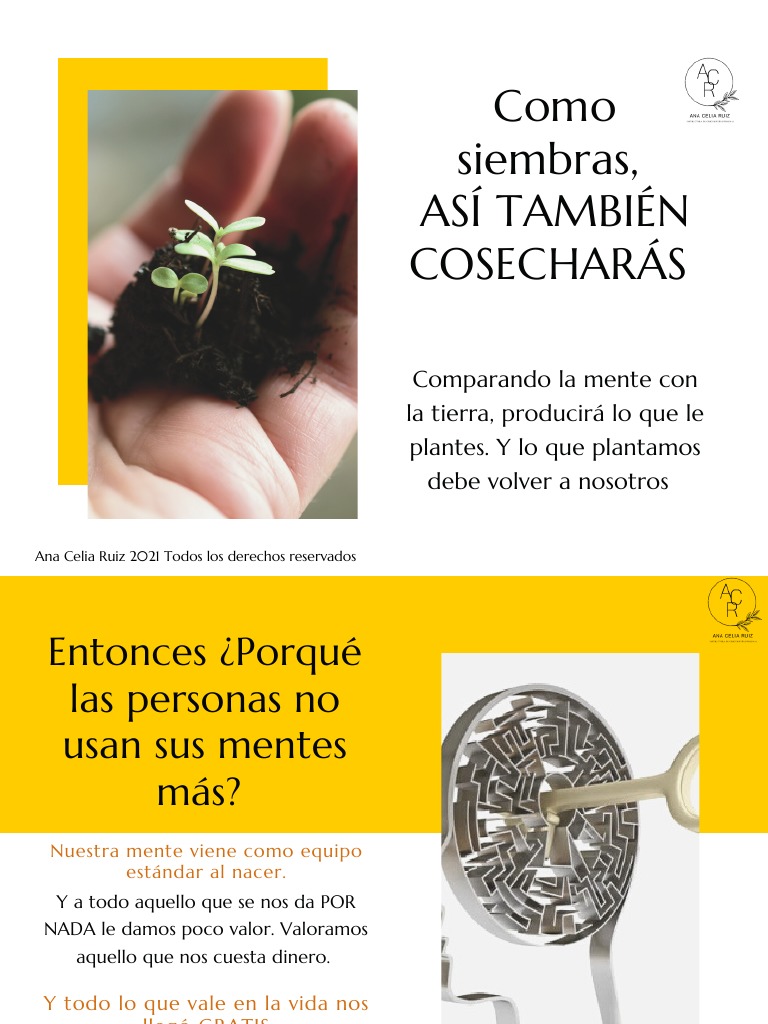 Parte 2 El Secreto Mas Raro | PDF | Mente