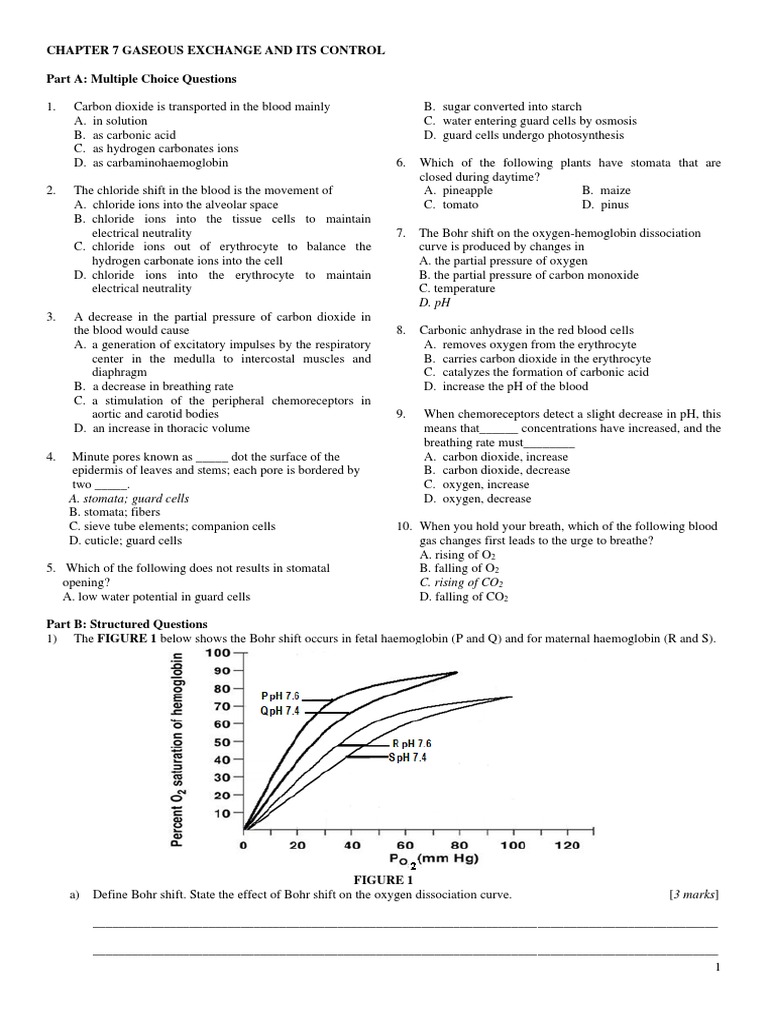 Chapter 7 Gaseous Exchange and Its Control | PDF | Stoma | Hemoglobin