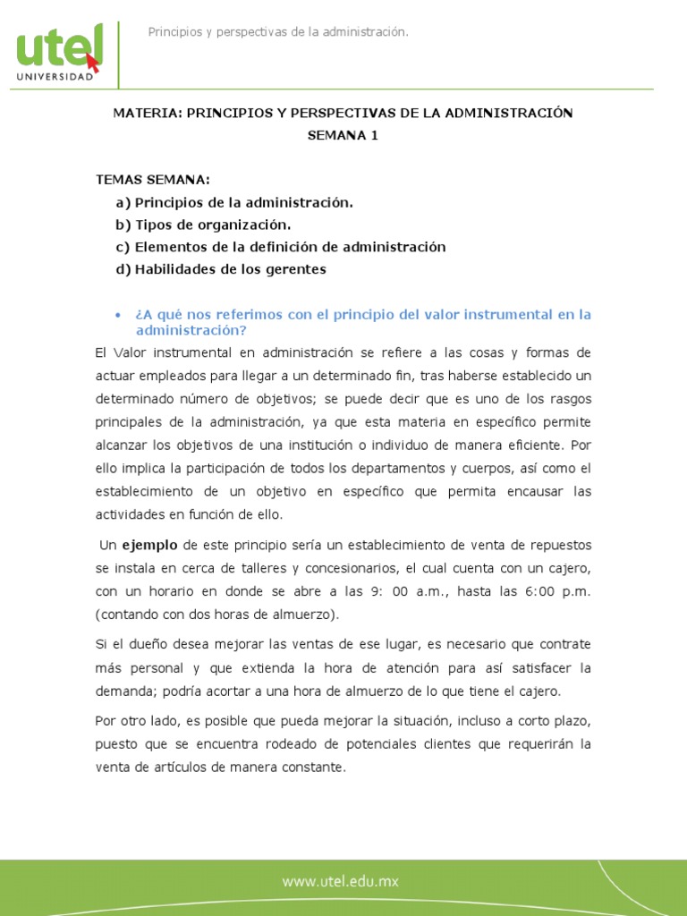 Valor Instrumental en Administración | PDF | Marketing