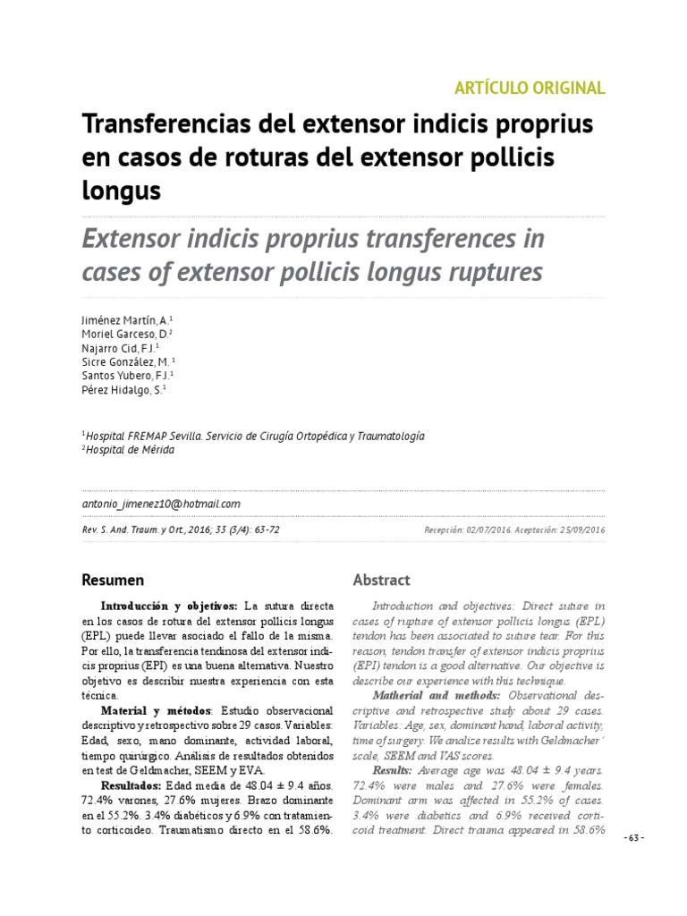 Tendon Extensor | PDF | Sistema musculoesquelético | Medicina CLINICA