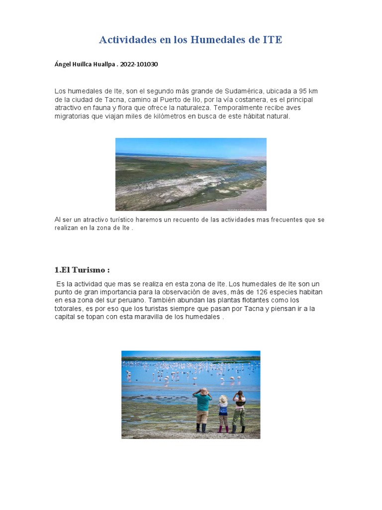 Actividades en Los Humedales de ITE | PDF