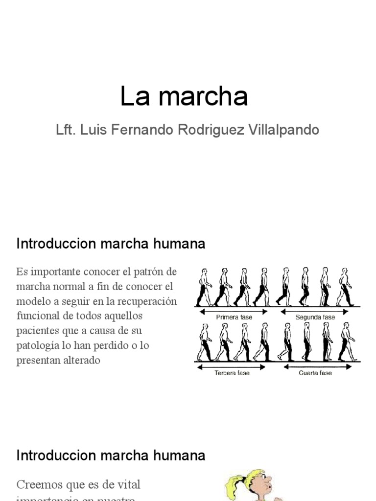Fases y componentes de la marcha humana | PDF