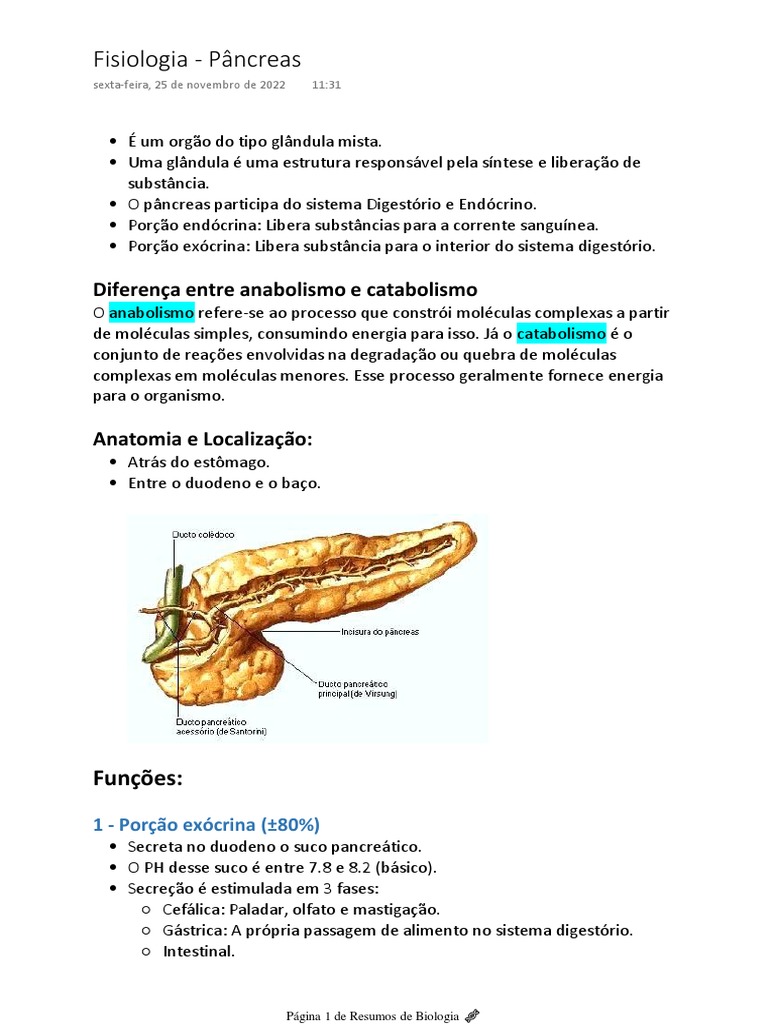 Fisiologia - Pâncreas | PDF | Diabetes | Pâncreas