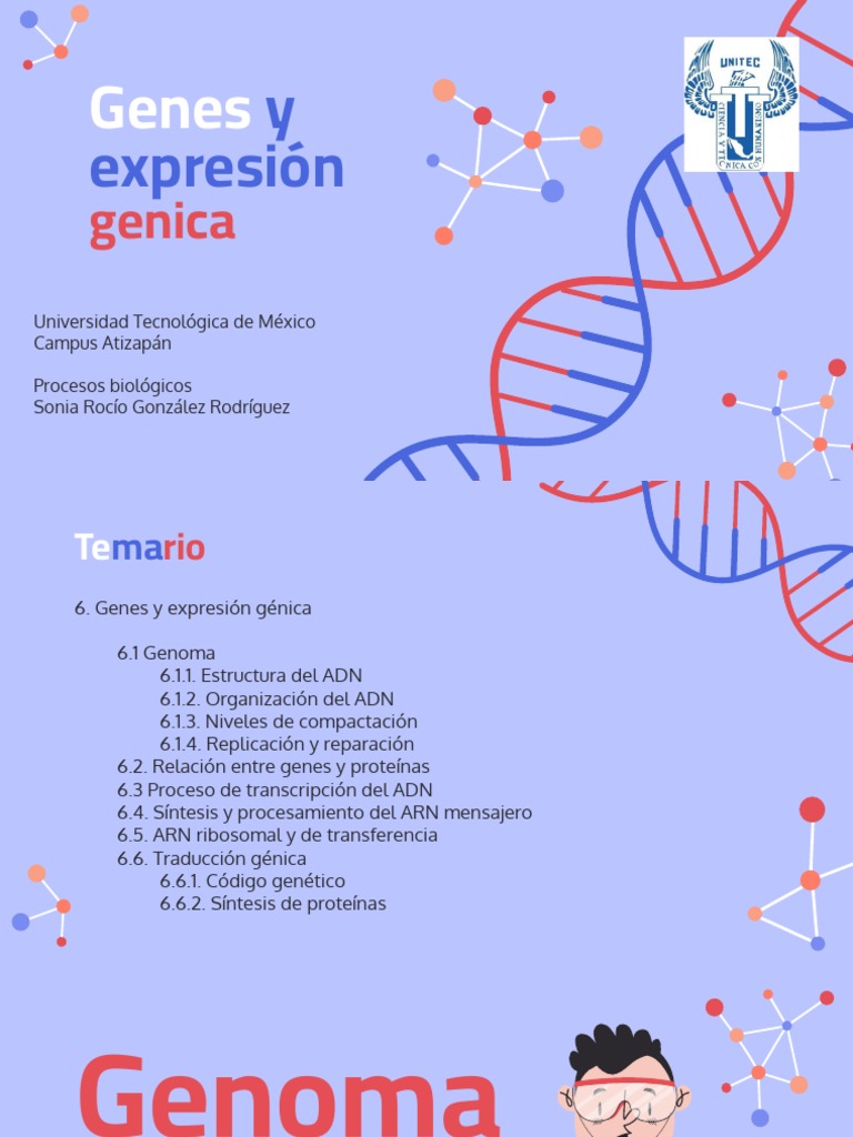 Genes y Expresión Genética en el Genoma | PDF | Adn | Gene