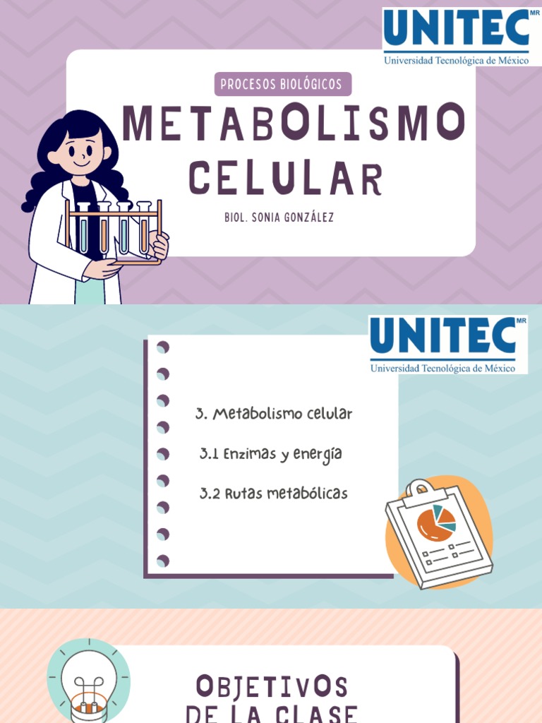 Unidad 3. Metabolismo Celular | PDF | Glucólisis | Dieta y nutrición