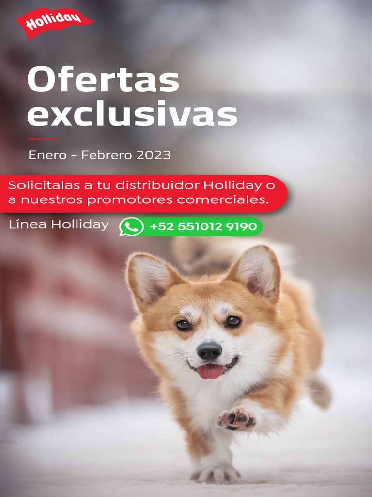 Holliday Ene Feb | PDF