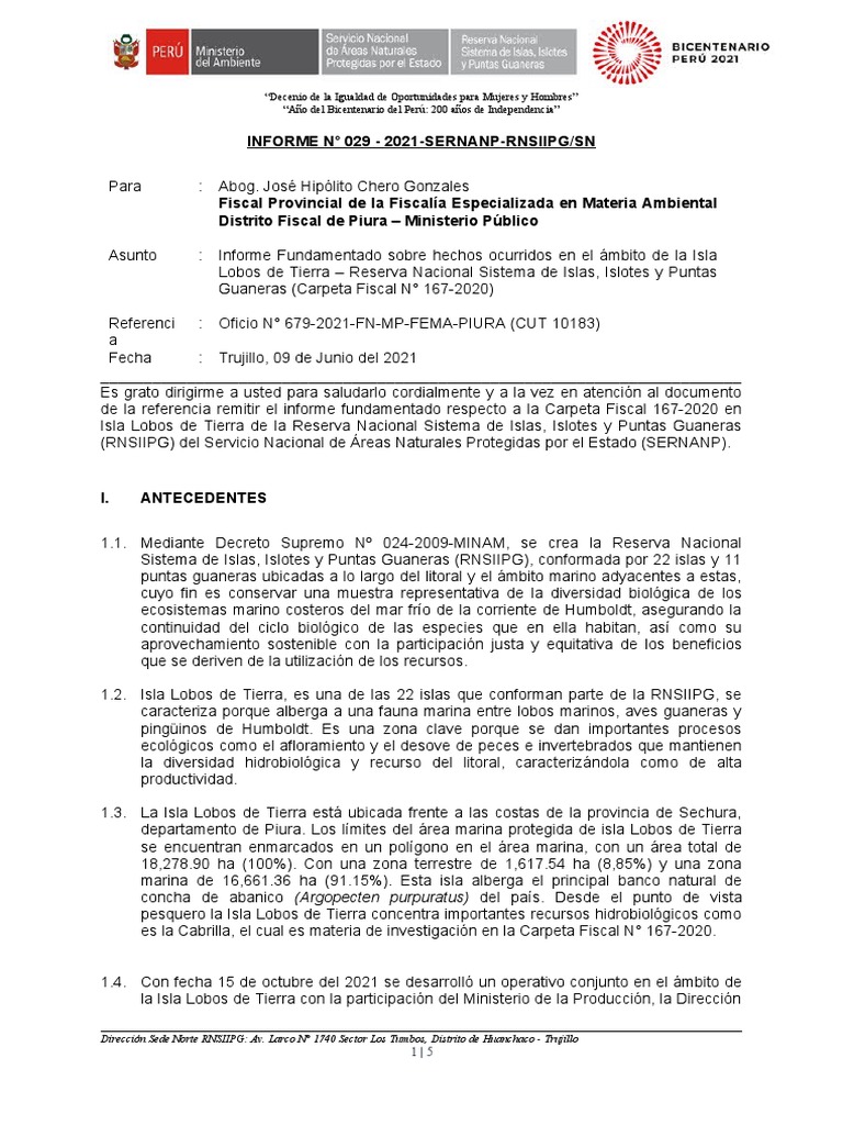 Informe #029-2021 Fundamentado para FEMA Piura - CF 167-2020 - Ok | PDF ...