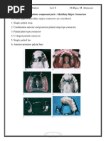 Types of Maxillary Major Connectors | PDF | Dentistry Branches