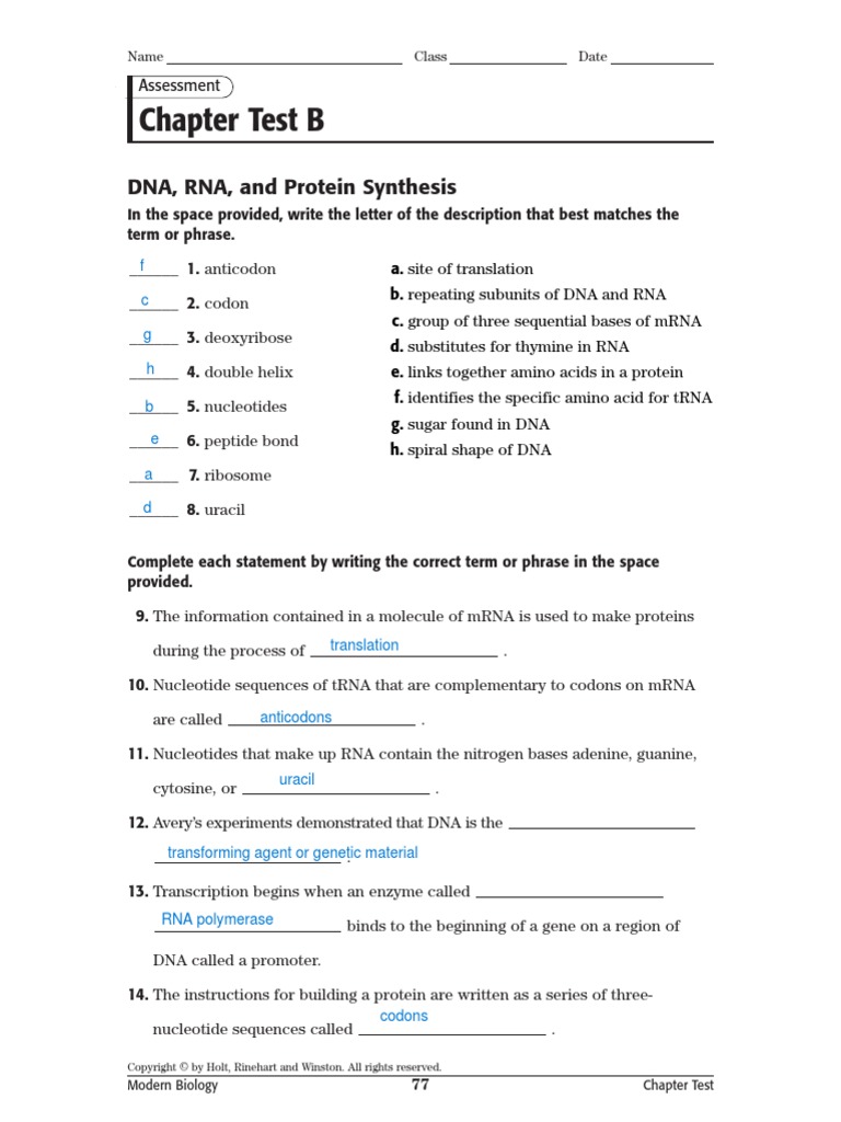 CH Test B | PDF | Rna | Dna