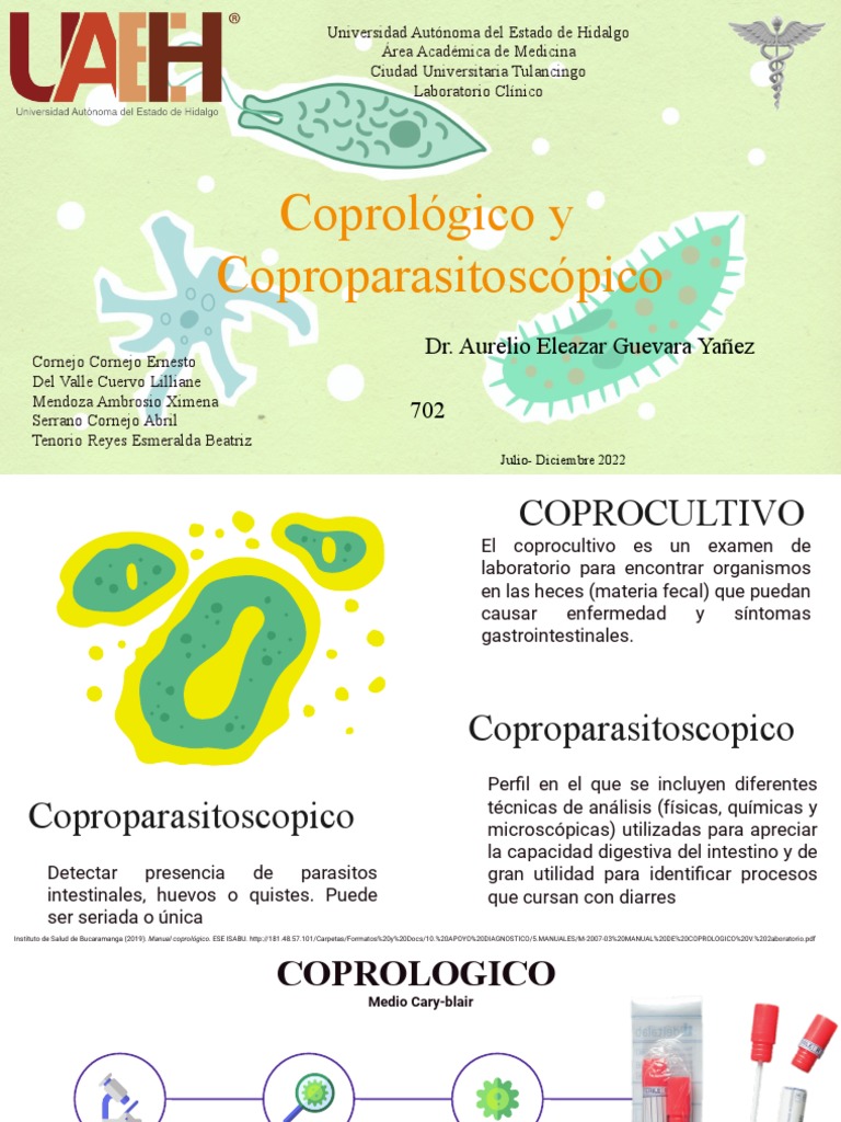 Análisis Coprológico y Coproparasitoscópico | PDF | Heces | Diarrea