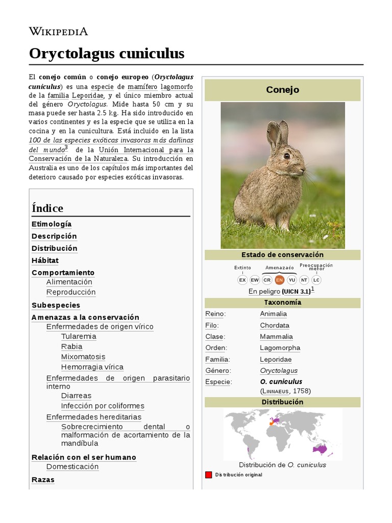 Oryctolagus Cuniculus | PDF | Biología
