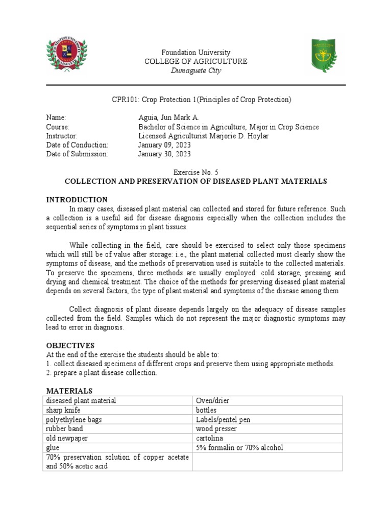 CPR101 Lab Exercise 5 (Diseased Plant Specimens Preservation) | PDF ...