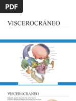 Región de La Fosa Pterigomaxilar | PDF | Sistema esquelético | Cara