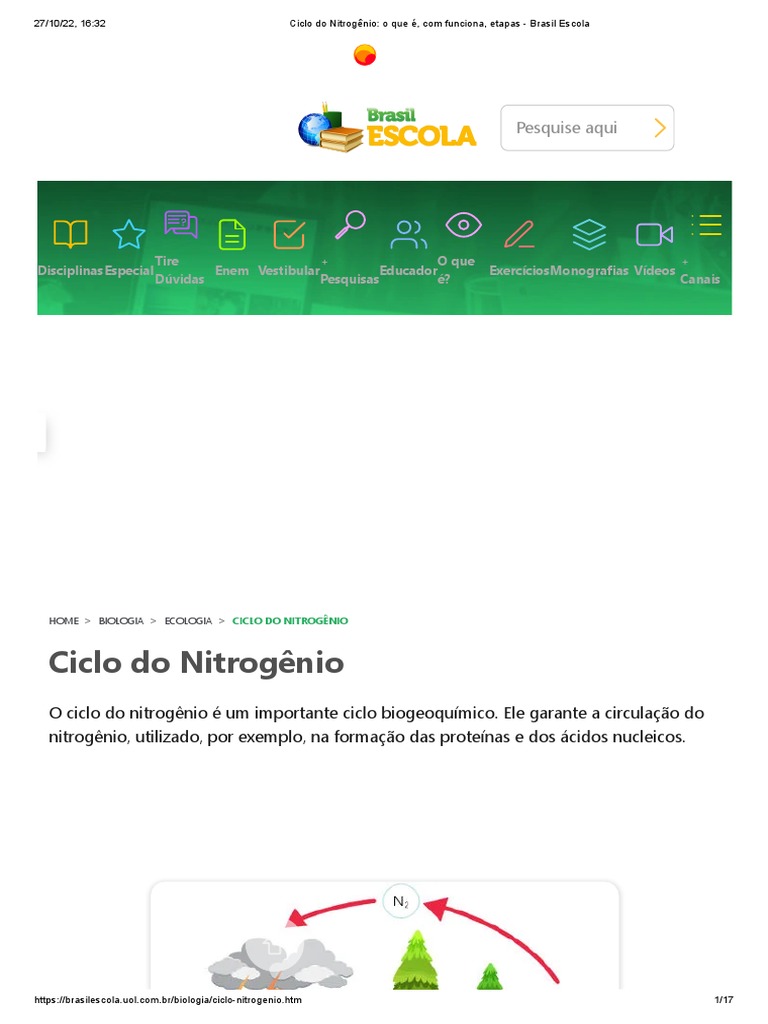 Ciclo Do Nitrogênio - o Que É, Com Funciona, Etapas - Brasil Escola | PDF | Nitrogênio | Bactérias