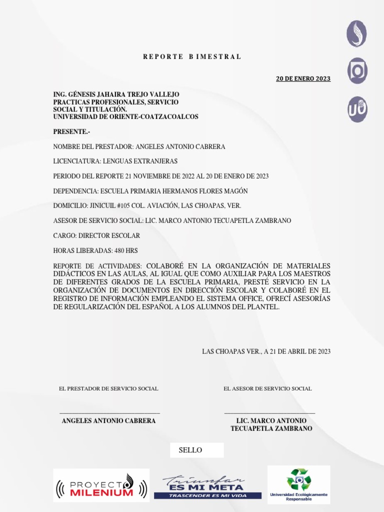 SEGUNDO Reporte - Bimestral - SS | PDF