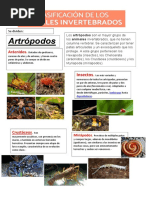 Triptico Dinosaurios | PDF | Dinosaurios | Taxa