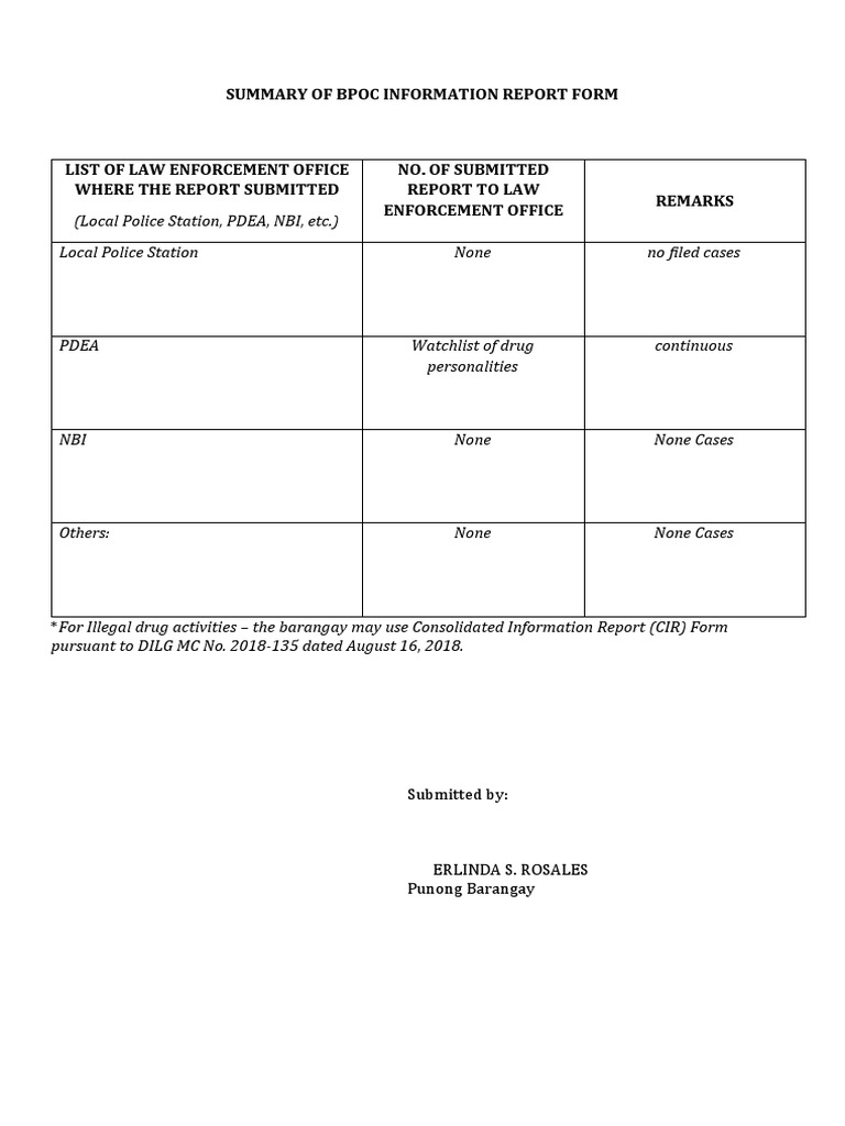 (Annex1) Summary of Barangay Information Report Form | PDF | Social Science