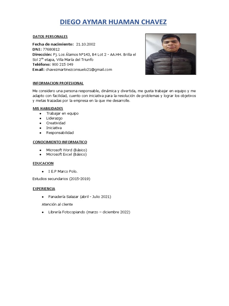 Cv-Diego Huaman Chavez | PDF