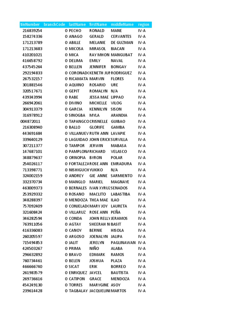 1604C 1 Template | PDF