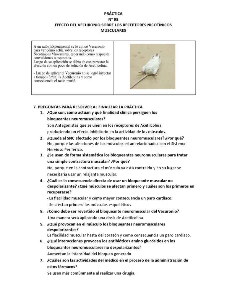 Efecto Del Vecuronio en Los Receptores Nicotínicos Musculares | PDF ...