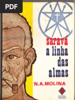 100 Receitas de Garrafadas Medicinais Indigenas | PDF