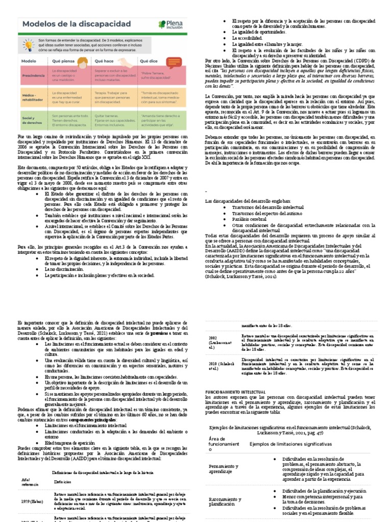 Los principios y definiciones de la discapacidad intelectual según la ...