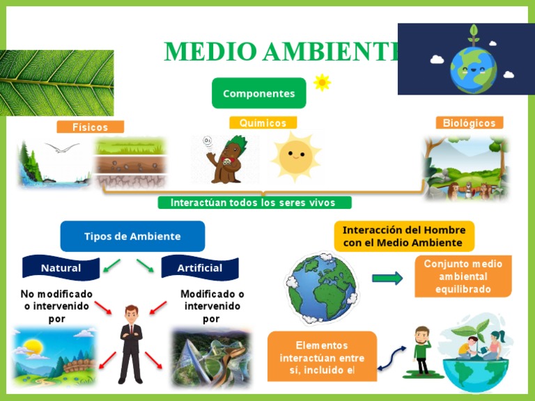 Mapa Mental Medio Ambiente | PDF