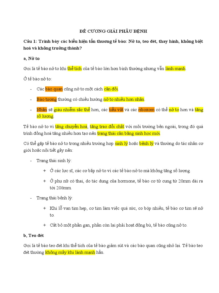 Đề-cương-GPB- 2022 | PDF