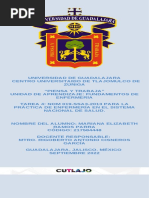 NOM-019-SSA3-2013 (Tríptico Con Fondo 1) | PDF | Enfermería | México