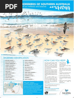 Bto Bird Species Codes | PDF