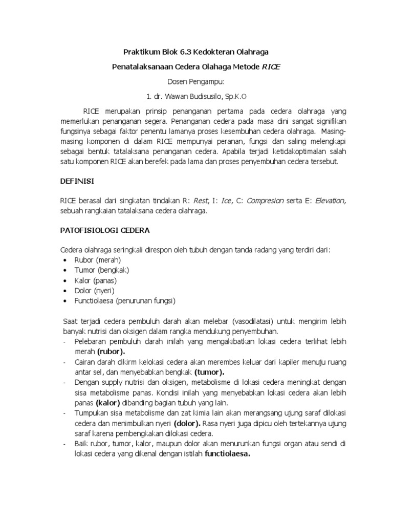 Panduan RICE untuk Cedera Olahraga | PDF