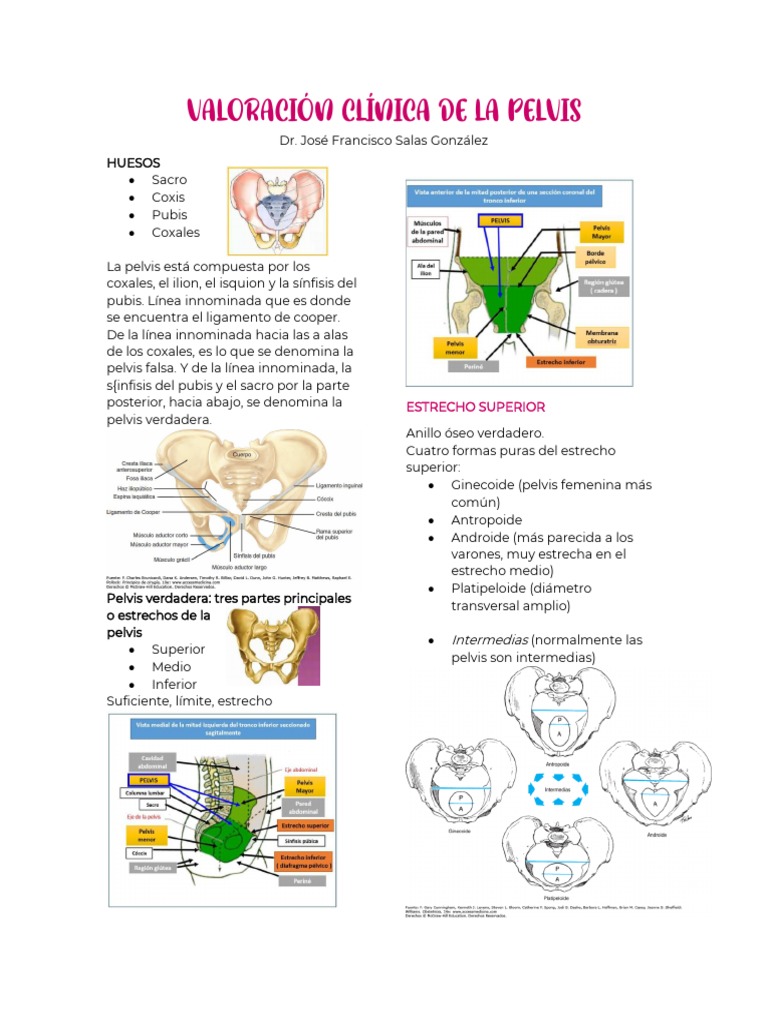 Valoración Clínica de La Pelvis | PDF | Pelvis | Sistema musculoesquelético