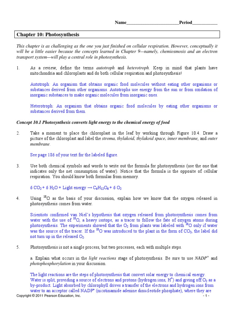 Chapter 10 - Photosynthesis (Ap Biology) Study Guide | PDF | Photosynthesis | Chloroplast