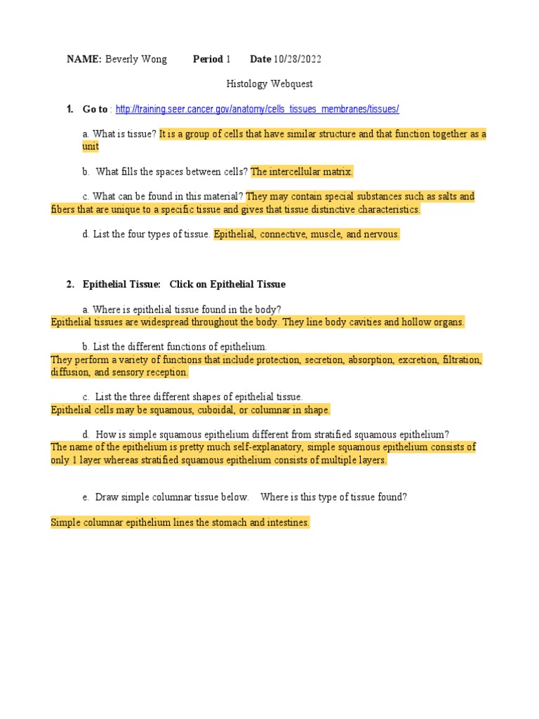 BW - Tissue Histology Webquest | PDF | Epithelium | Tissue (Biology)