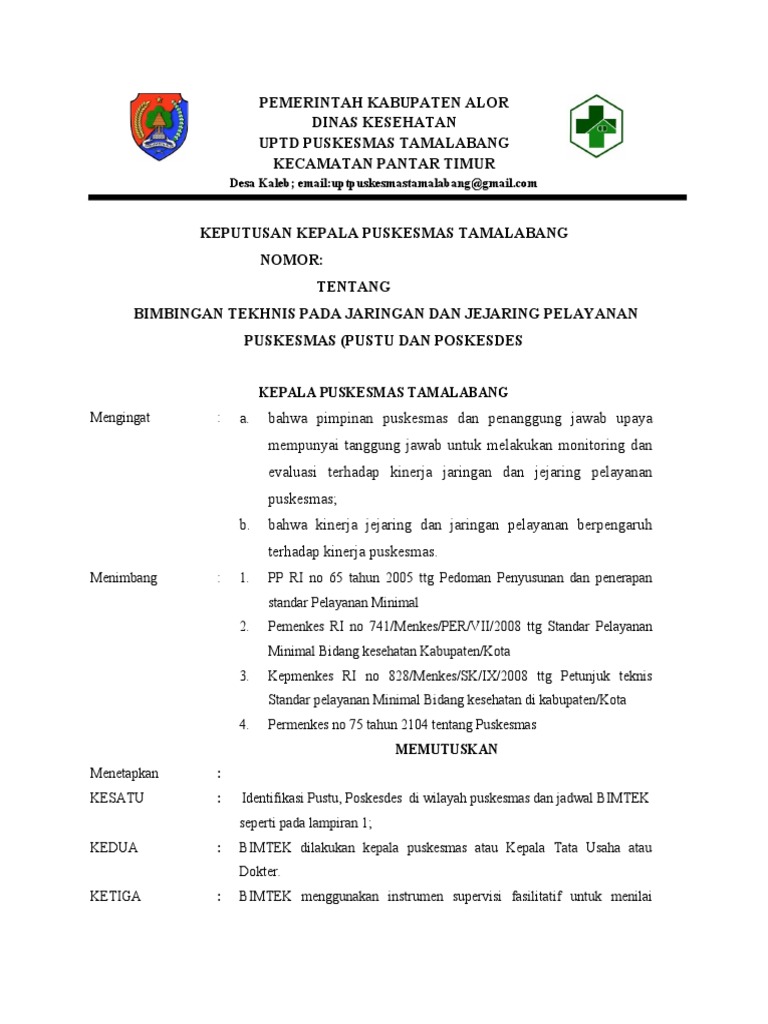 Bimbingan Teknis Puskesmas Tamalabang | PDF