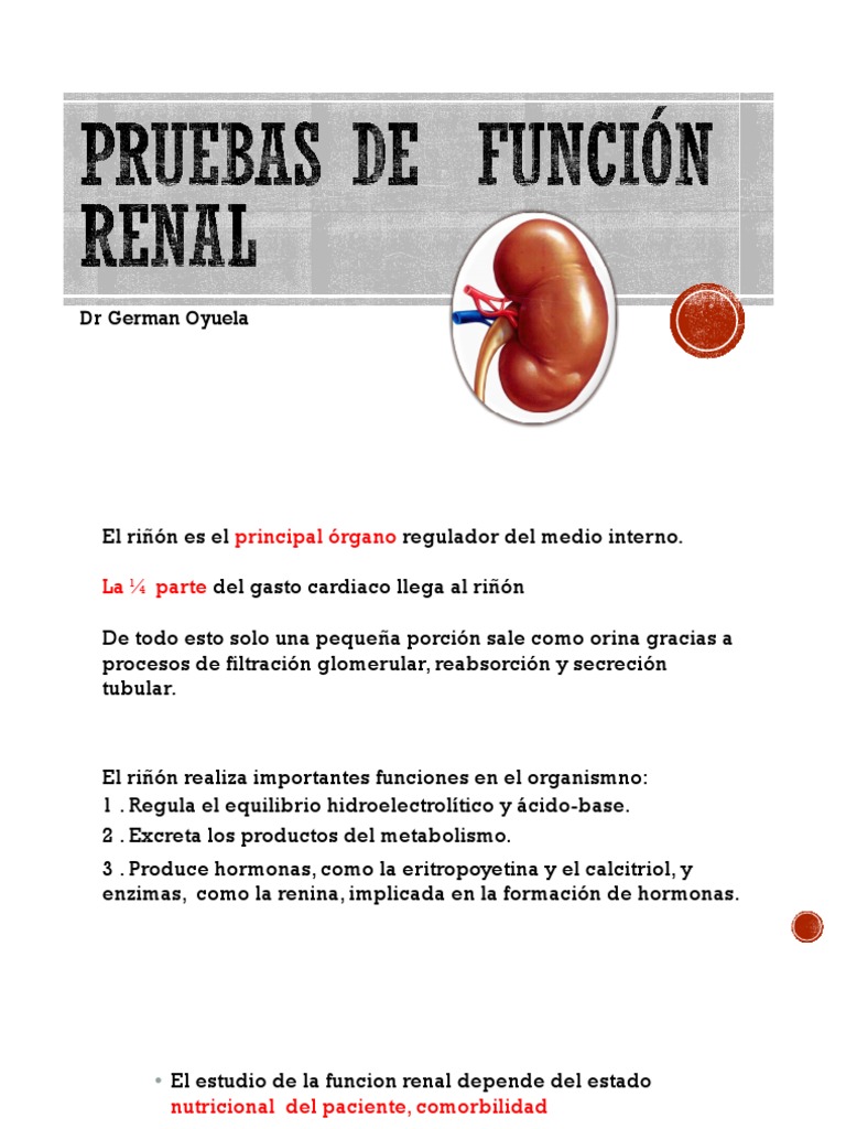 6-Pruebas de Función Renal | PDF | Riñón | Orina