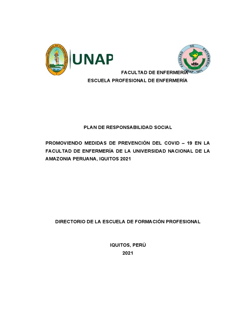 Estructura Del Proyecto de Responsabilidad Social | PDF