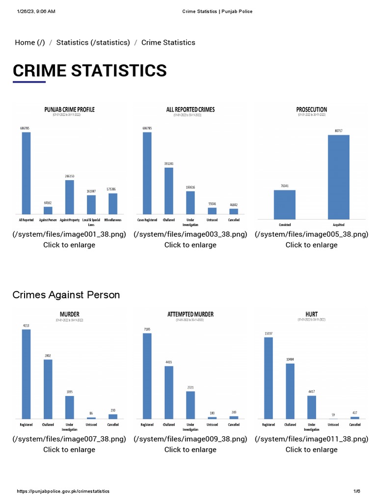 Punjab Police Crime Statistics 2020 | PDF | Misconduct | Public Safety