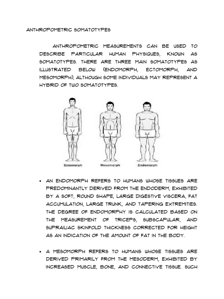 Anthropometric Somatotypes | PDF
