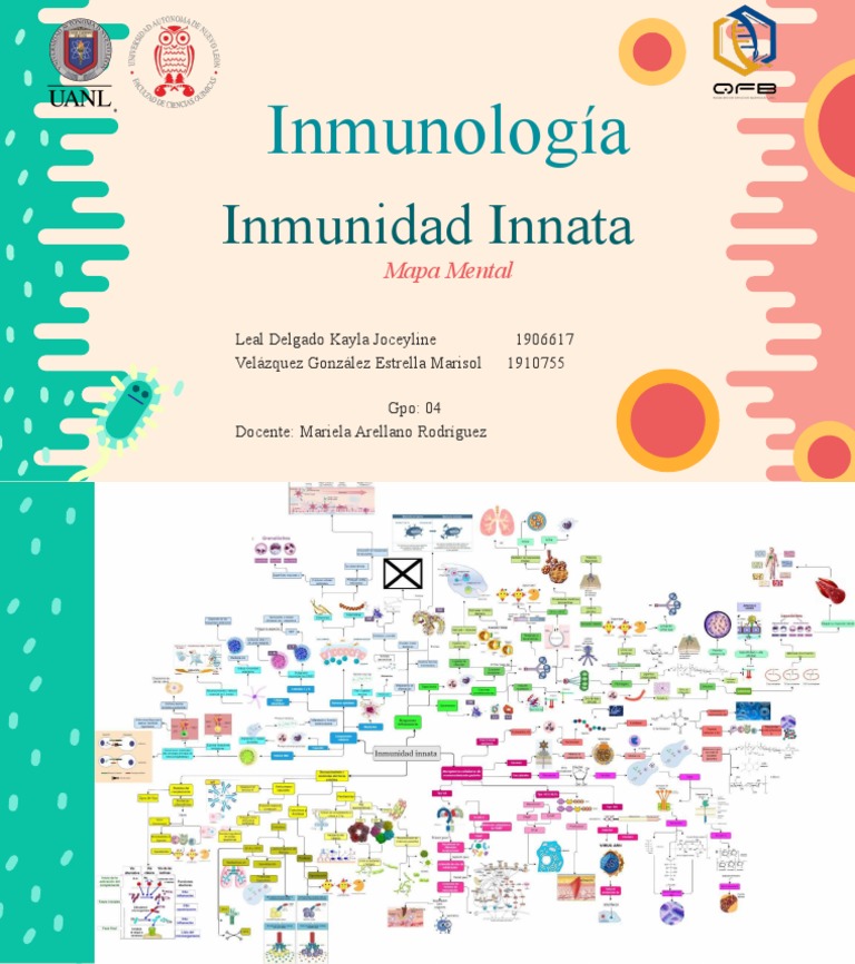 Mapa Mental de Inmunidad Innata | PDF