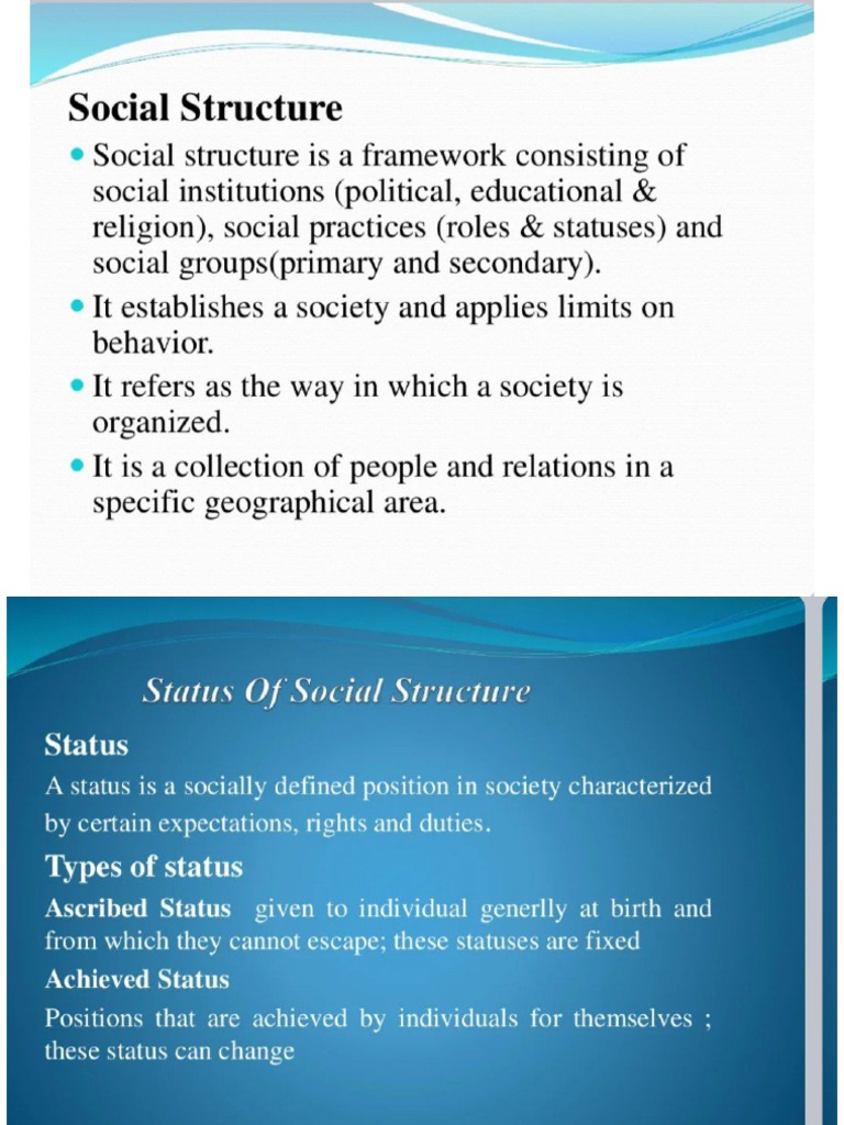 Social Structure Framework | PDF