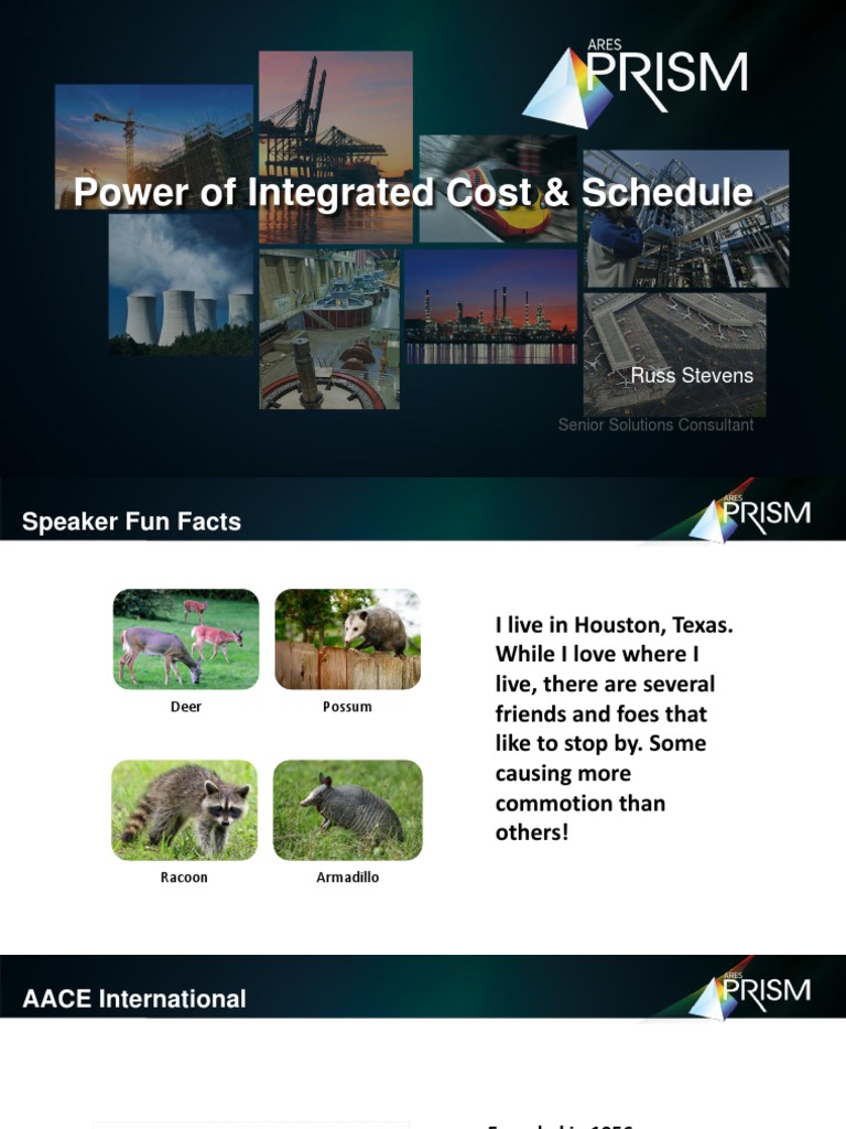 AACE Integrated Cost and Schedule | PDF | Business