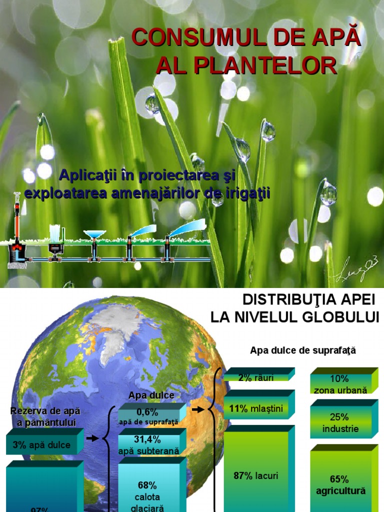 Consumul de Apă Al Plantelor | PDF