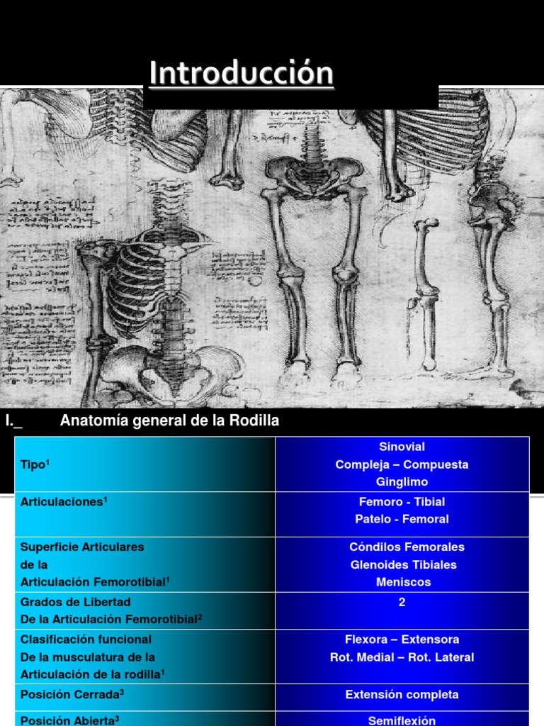 Anatomia de Rodilla | PDF | Rodilla | Ciencia de la danza