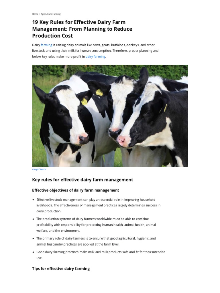 19 Key Rules For Effective Dairy Farm Management - From Planning | PDF ...