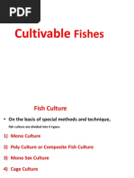 African Catfish: Taxonomy & Distribution | PDF | Fish | Aquatic Animals