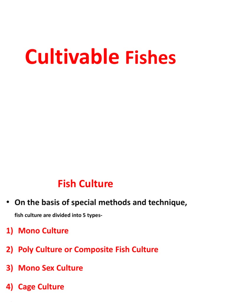 Cultivable Fish Species in Pakistan | PDF | Fishkeeping | Aquatic Animals