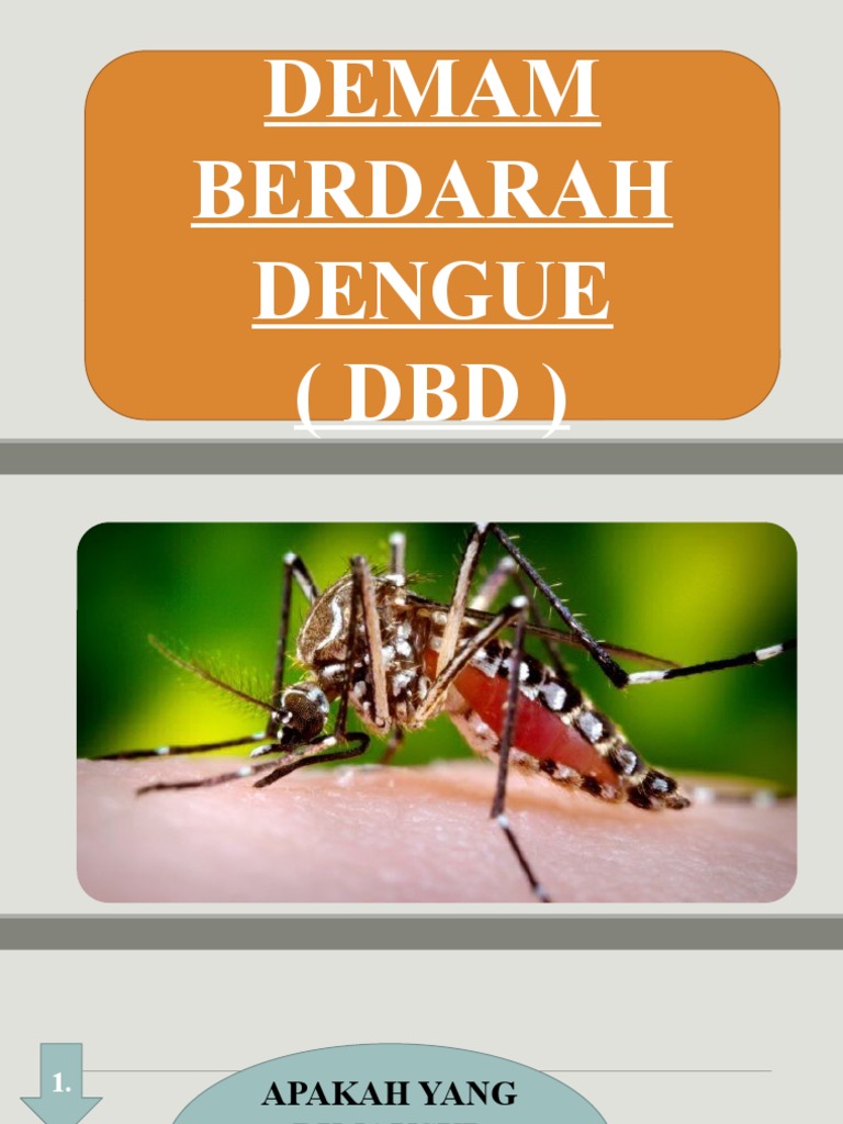 Panduan Lengkap Demam Berdarah Dengue | PDF