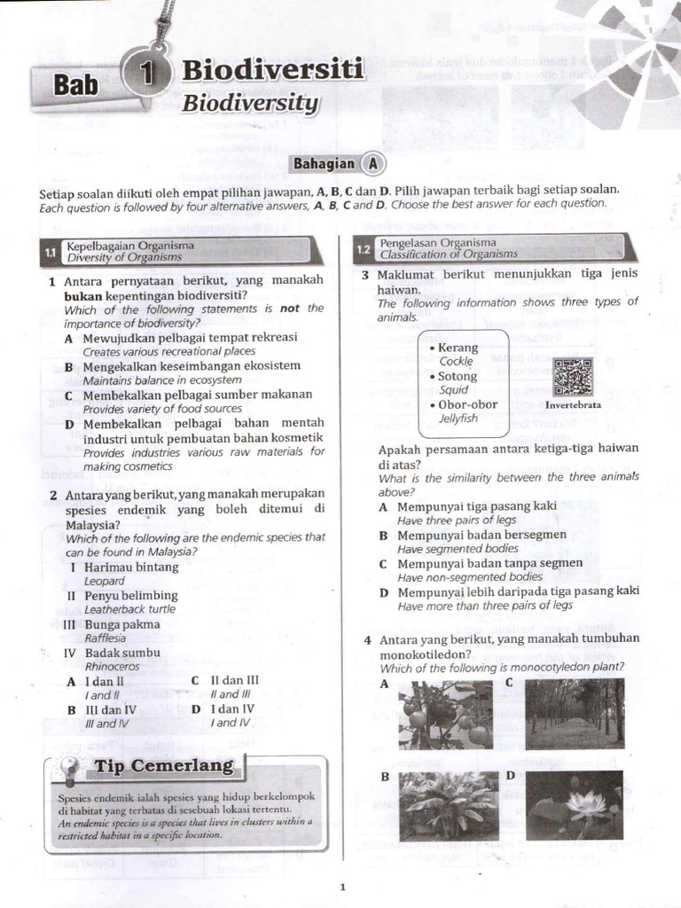 Chapter 1 Exercises | PDF